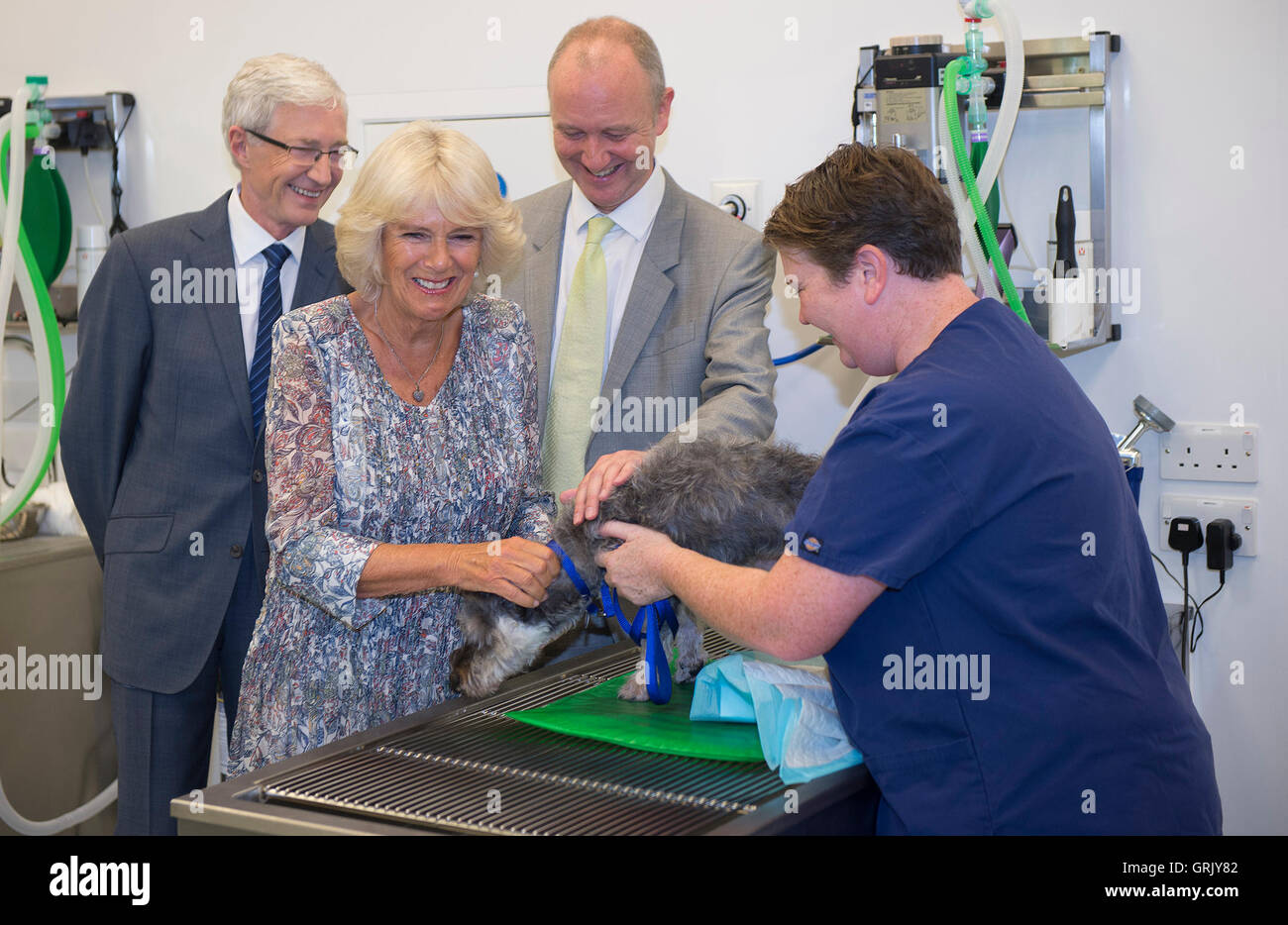 The Duchess of Cornwall meets a Terrier named Nancy with veterinary ...