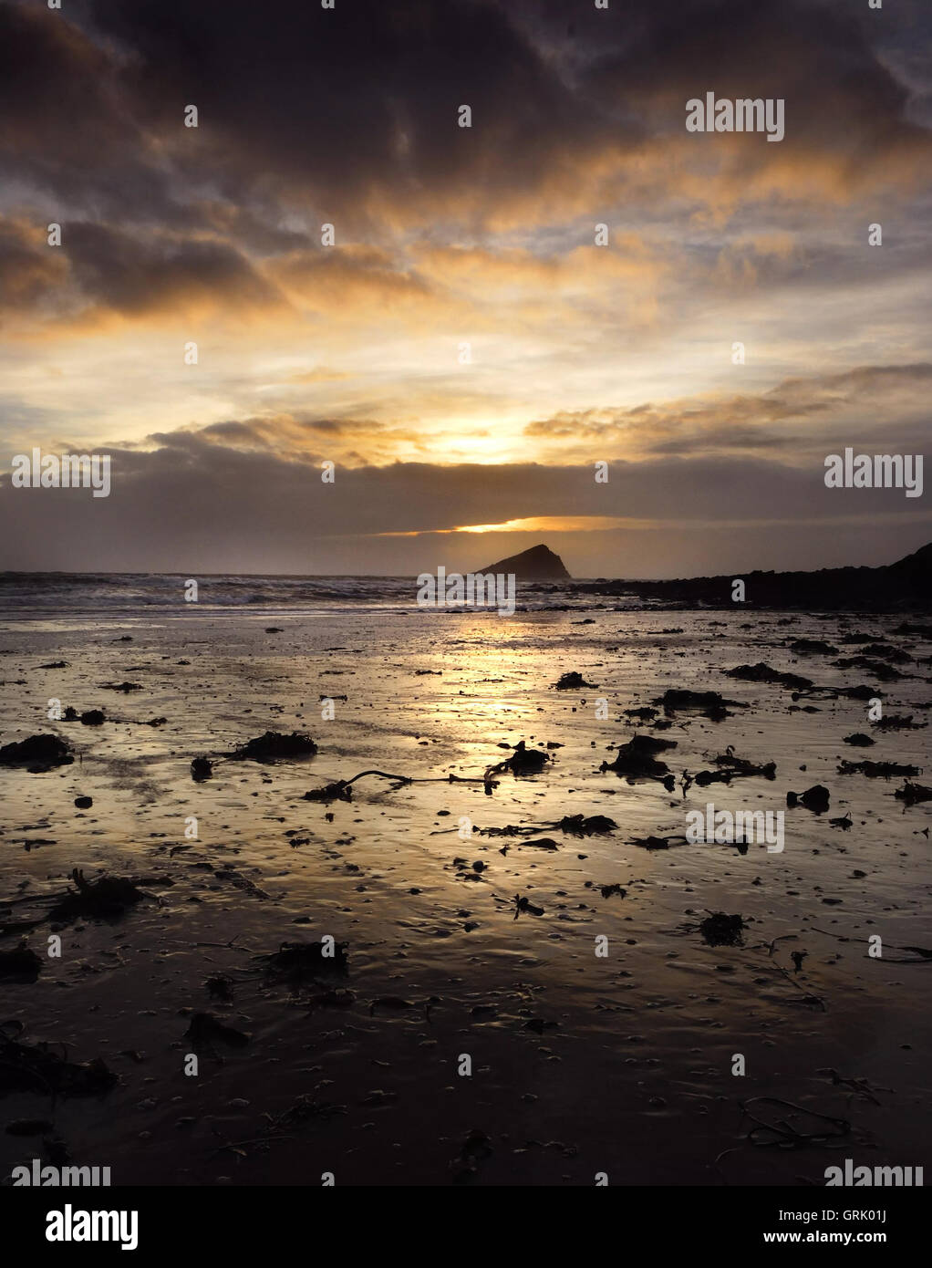 The Mewstone High Resolution Stock Photography and Images - Alamy