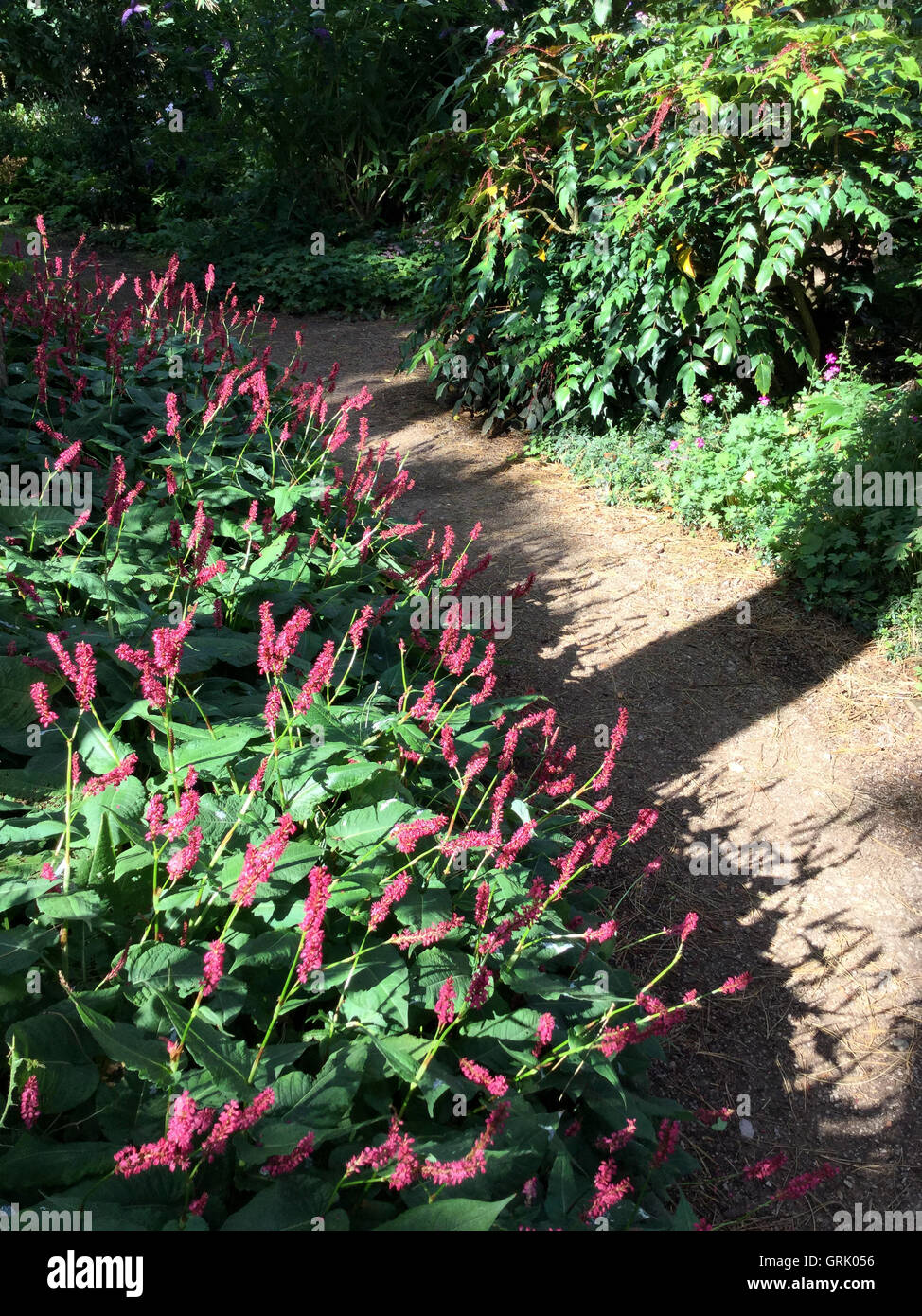 stately home gardens Stock Photo - Alamy
