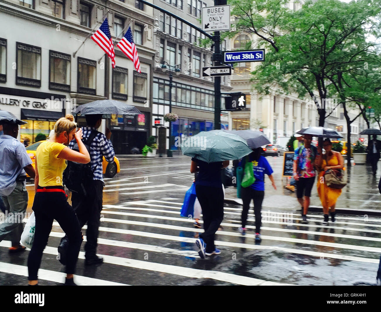 Activity on Fifth Avenue during Rainstorm under Brollies, New York City ...