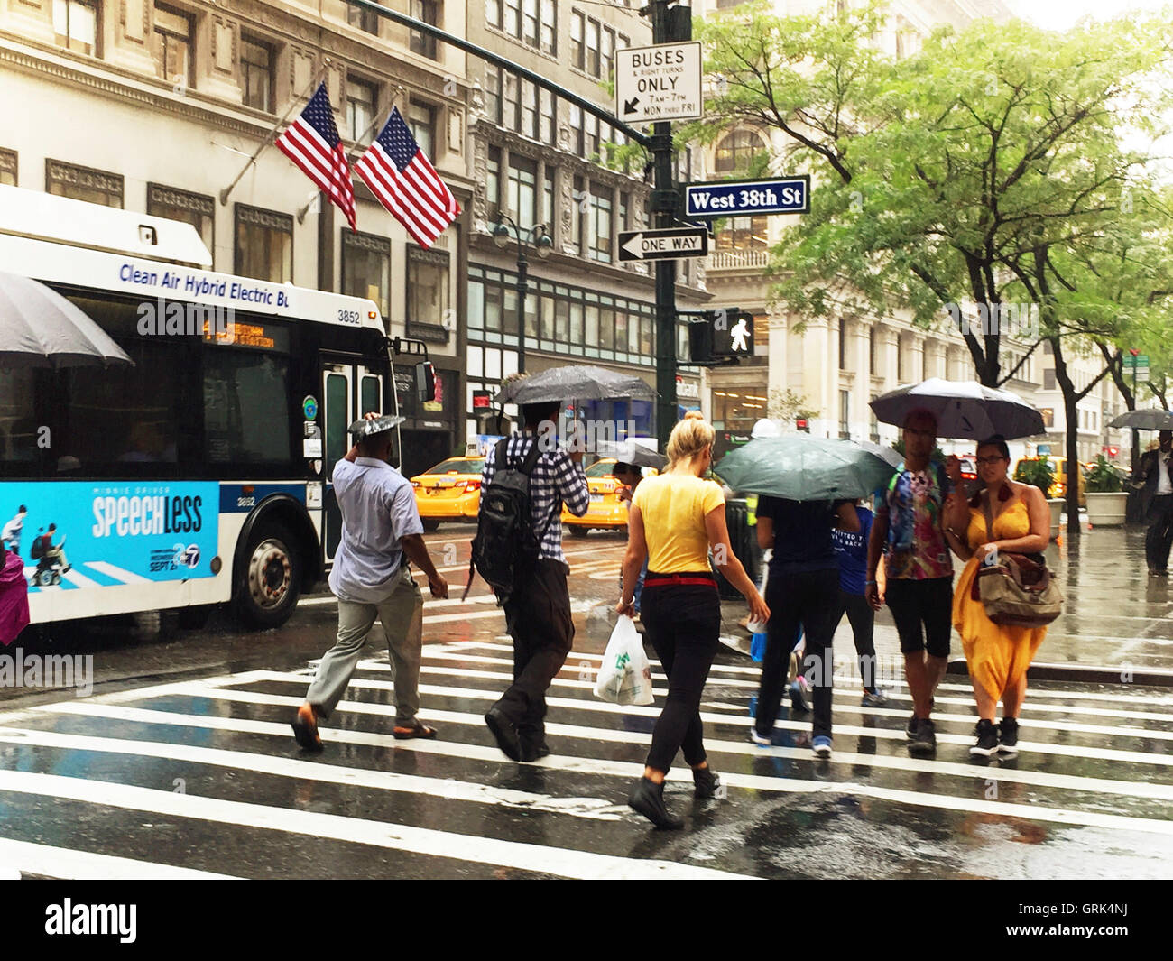 Activity on Fifth Avenue during Rainstorm under Brollies, New York City ...