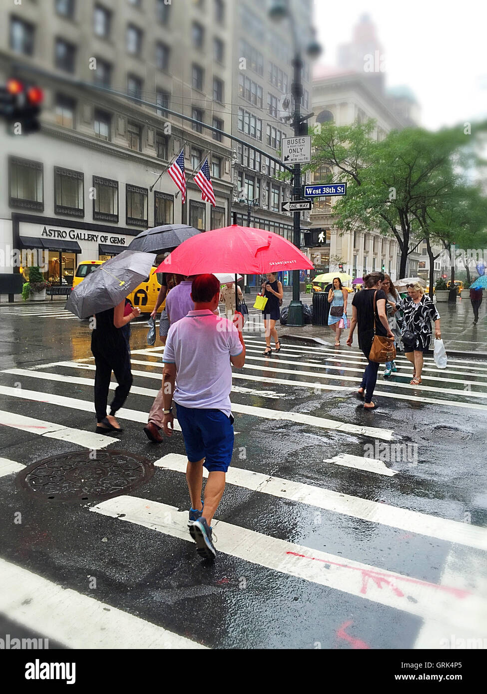 Activity on Fifth Avenue during Rainstorm under Brollies, New York City ...