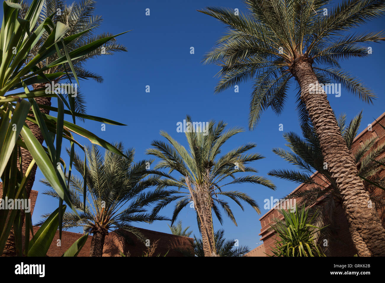 Marocco maroko hi-res stock photography and images - Alamy