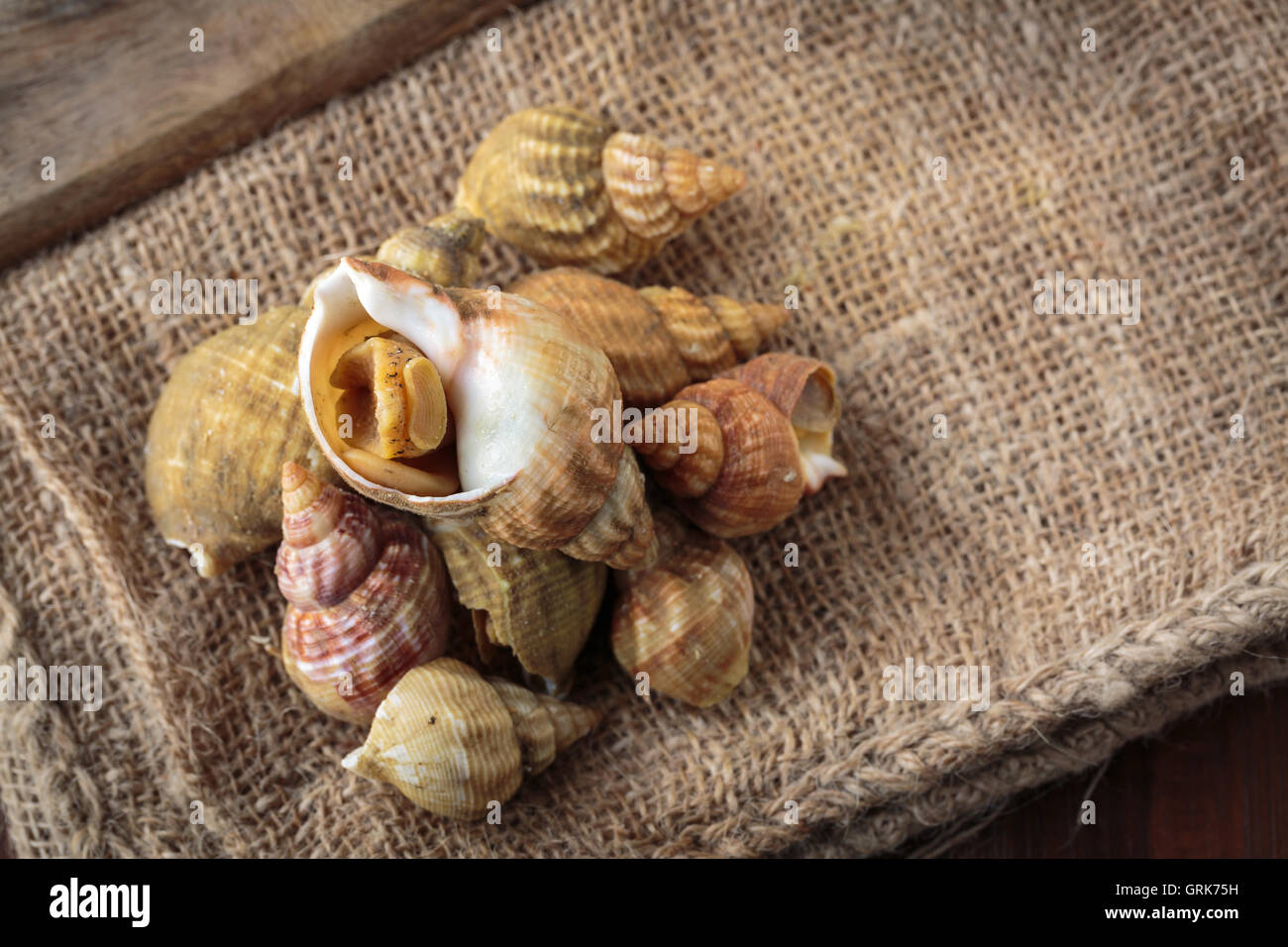 Raw fresh whelks, the delicious sea snails Stock Photo - Alamy