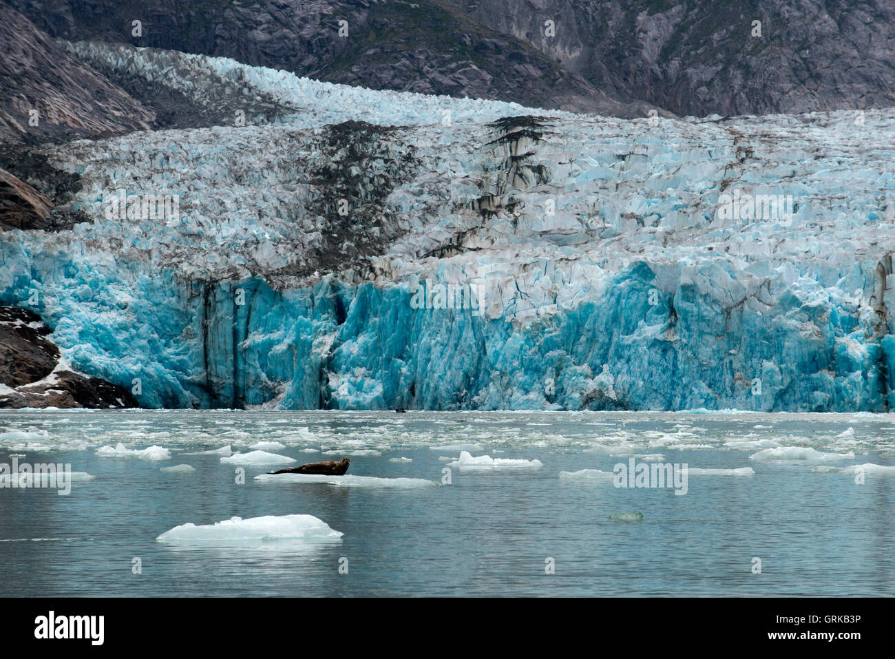 Frozen tidal area hi-res stock photography and images - Alamy