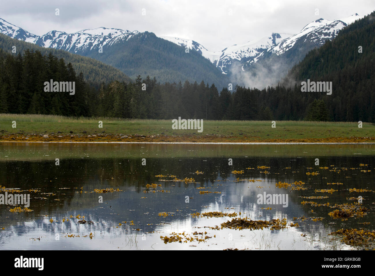 Landscape in Scenery Cove, Thomas Bay, Petersburg, Southeast Alaska ...