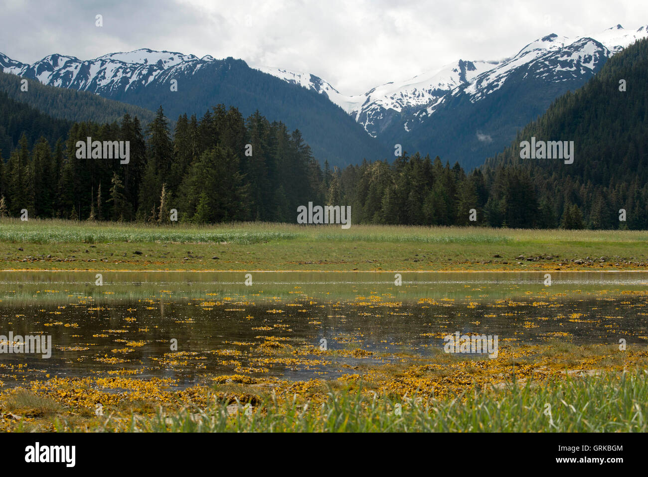 Landscape in Scenery Cove, Thomas Bay, Petersburg, Southeast Alaska ...