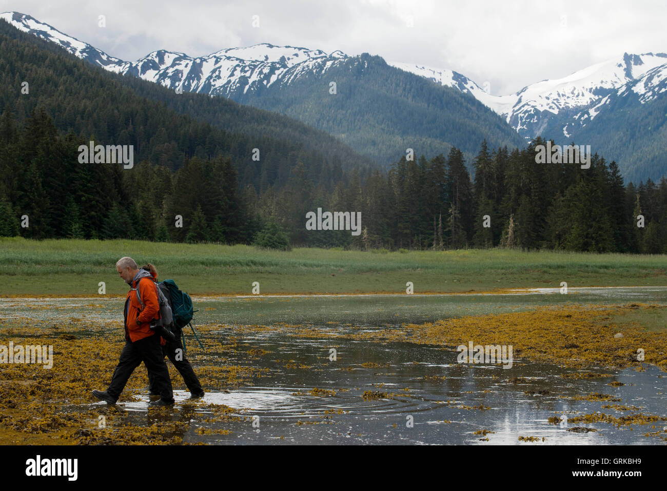 Family doing hiking in Scenery Cove, Thomas Bay, Petersburg, Southeast ...
