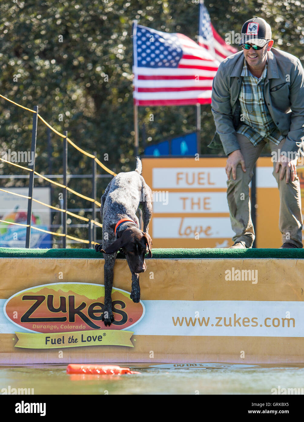Dock Dogs jumping competition in Charleston, South Carolina. Dogs can ...