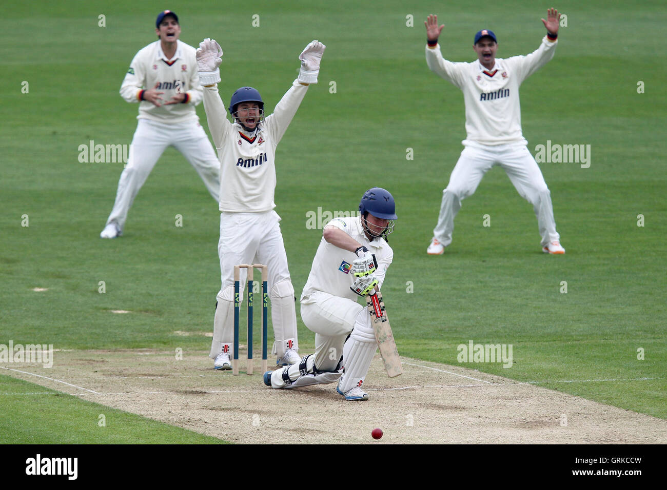 James Foster behind the stumps leads the appeal for the wicket of ...