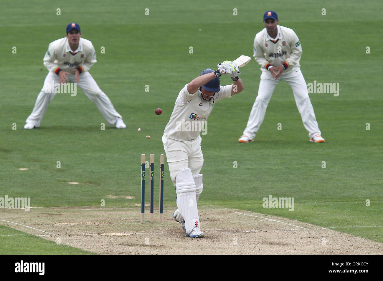 The swalec stadium gareth rees hi-res stock photography and images - Alamy