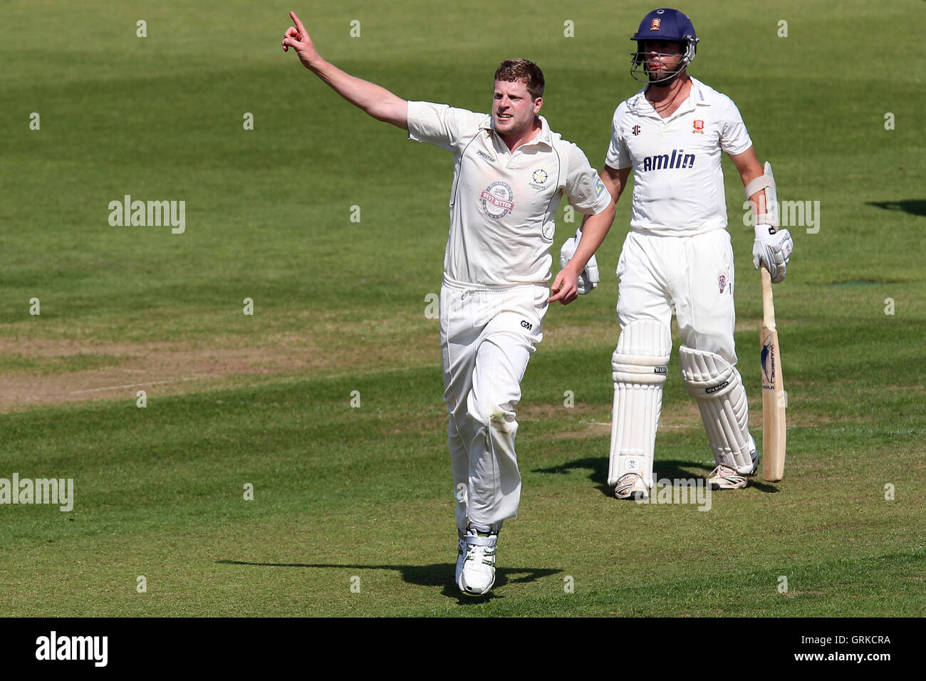 David Balcombe of Hampshire celebrates the wicket of Adam Wheater ...