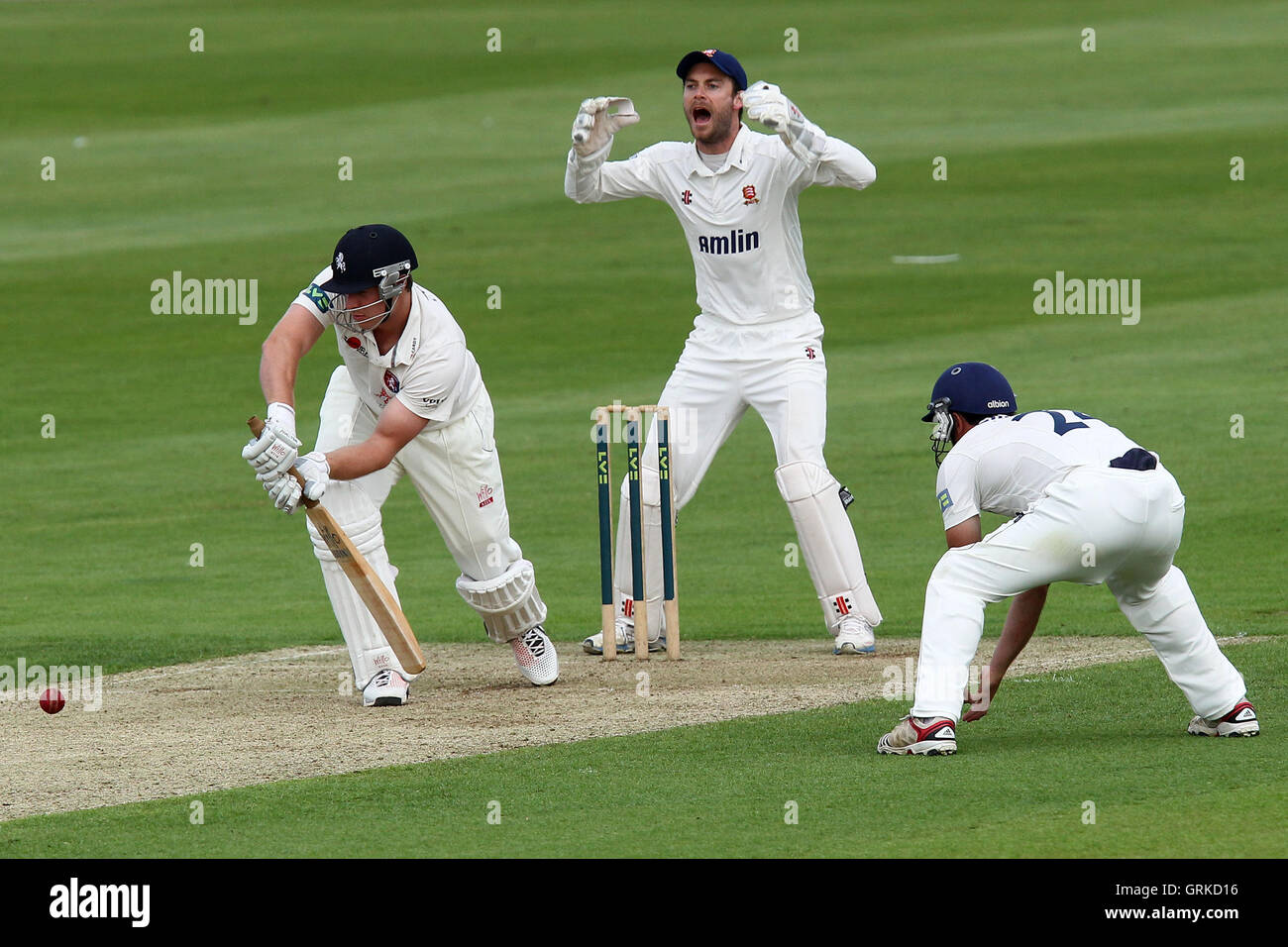 James Foster of Essex appeals for the wicket of Matt Coles - Kent CCC ...