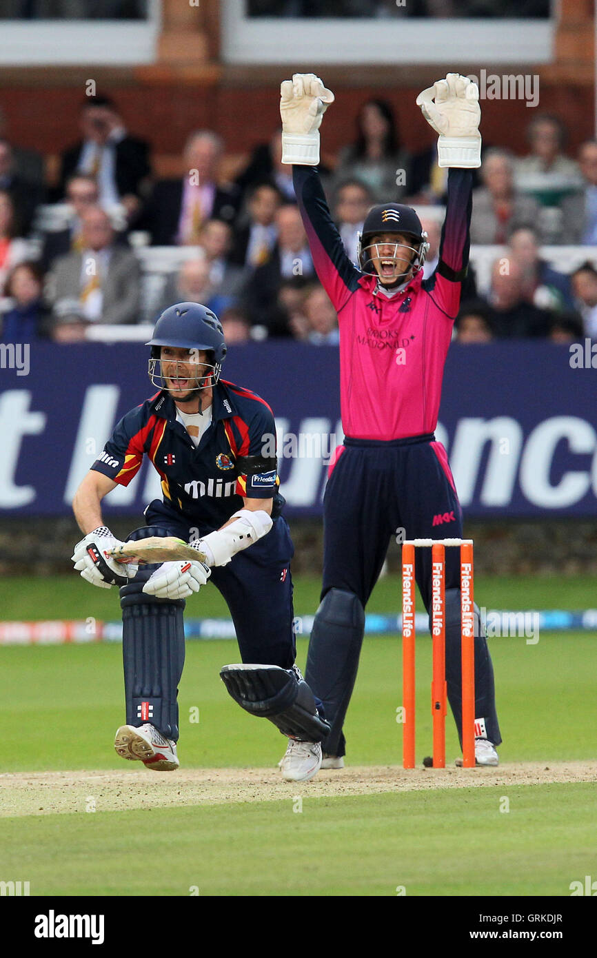 A strong appeal by John Simpson of Middlesex for the wicket of James ...