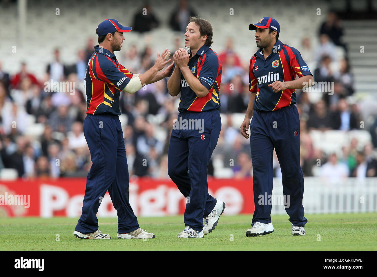 Cricketer rory hamilton brown hi-res stock photography and images - Alamy