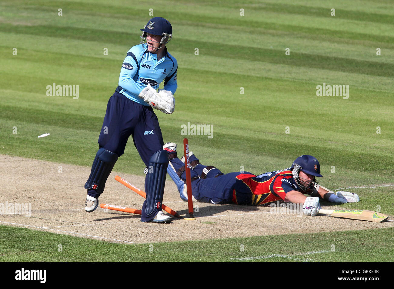 Probiz county ground ben brown hi-res stock photography and images - Alamy