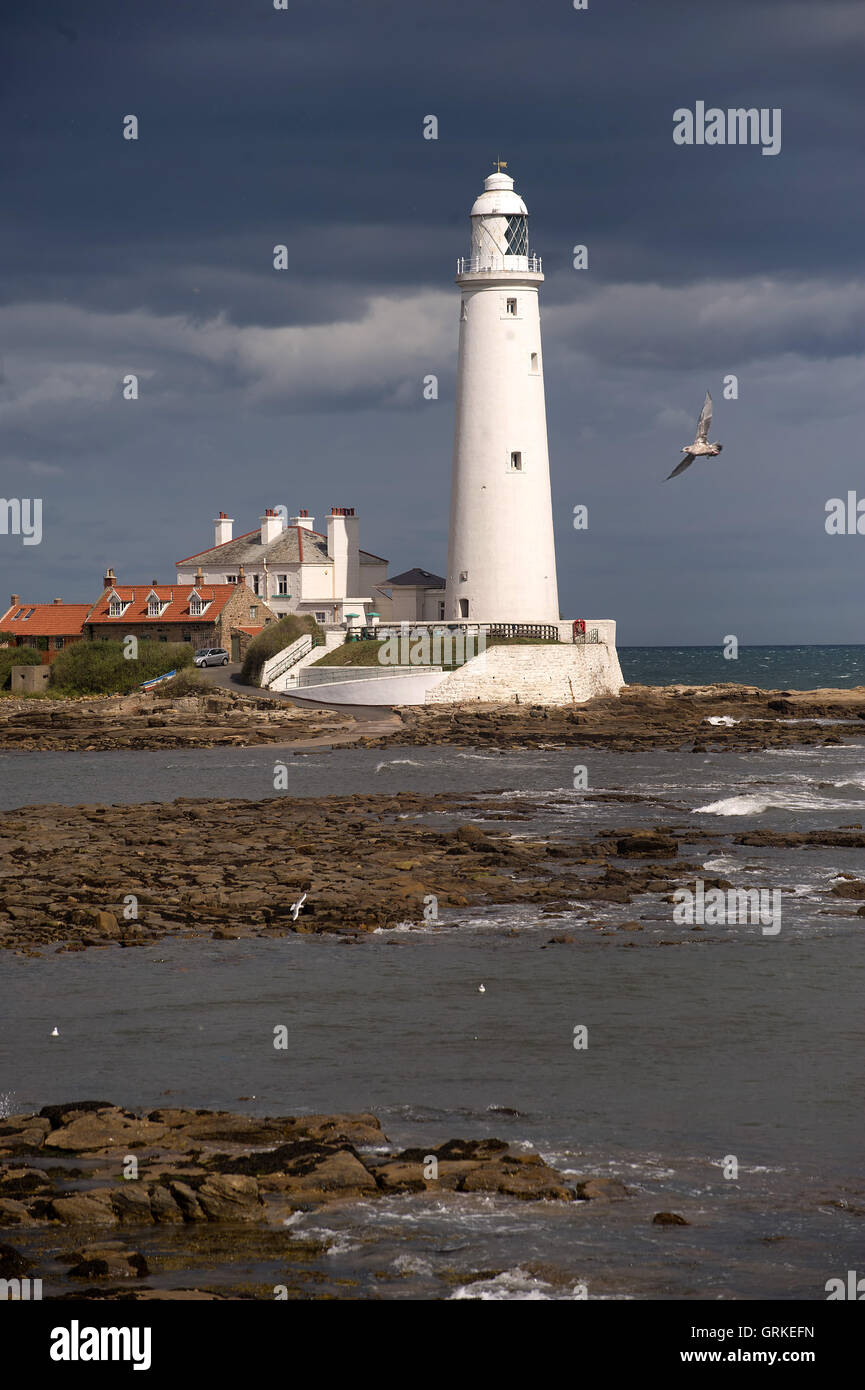 St Marys Lighthouse, Whitley Bay Stock Photo - Alamy
