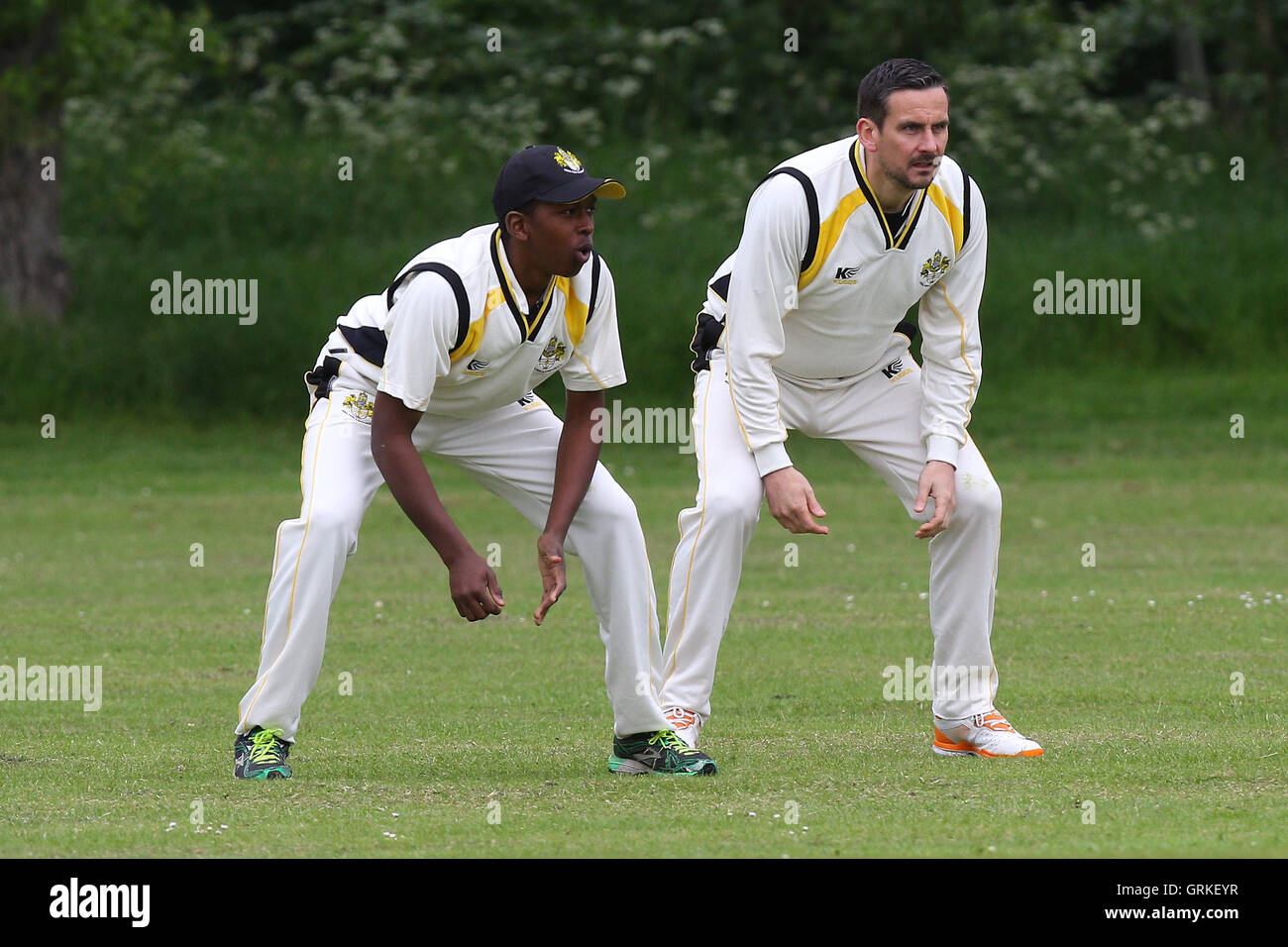 Gidea Park & Romford CC (fielding) vs Stanford-le-Hope CC - Essex Club ...
