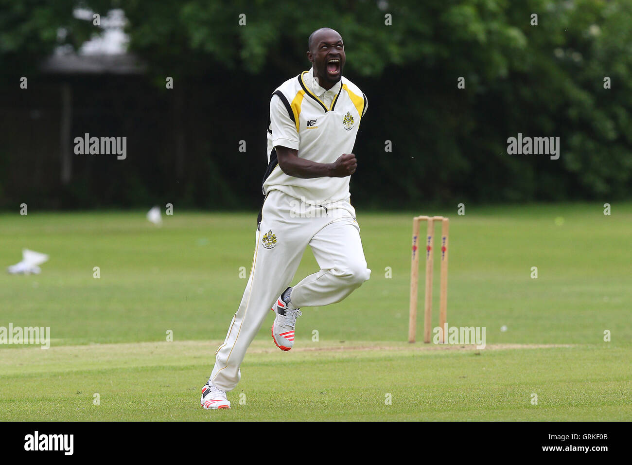 Gidea Park & Romford CC (fielding) vs Stanford-le-Hope CC - Essex Club ...