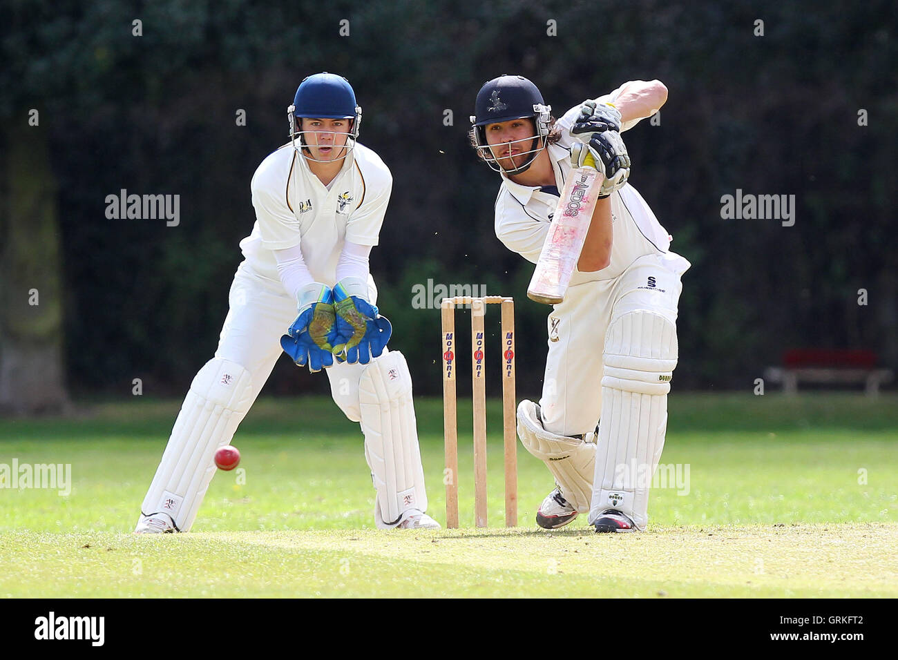 Timoti hi-res stock photography and images - Alamy