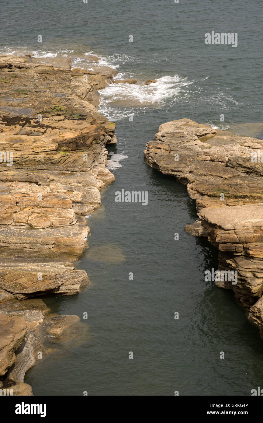 Rocky inlet, Seaton Sluice, Northumberland Stock Photo - Alamy