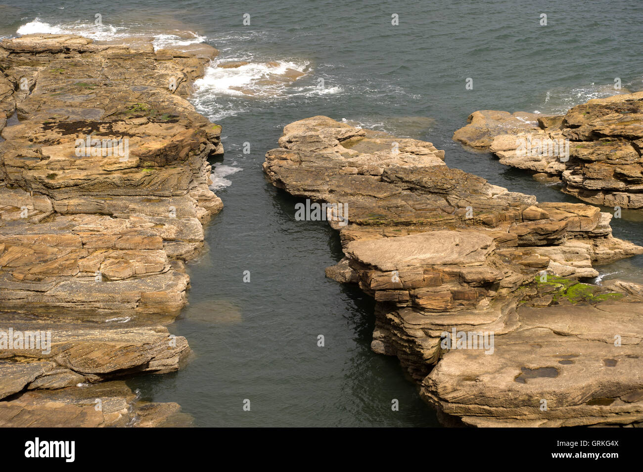 Rocky inlet, Seaton Sluice, Northumberland Stock Photo - Alamy