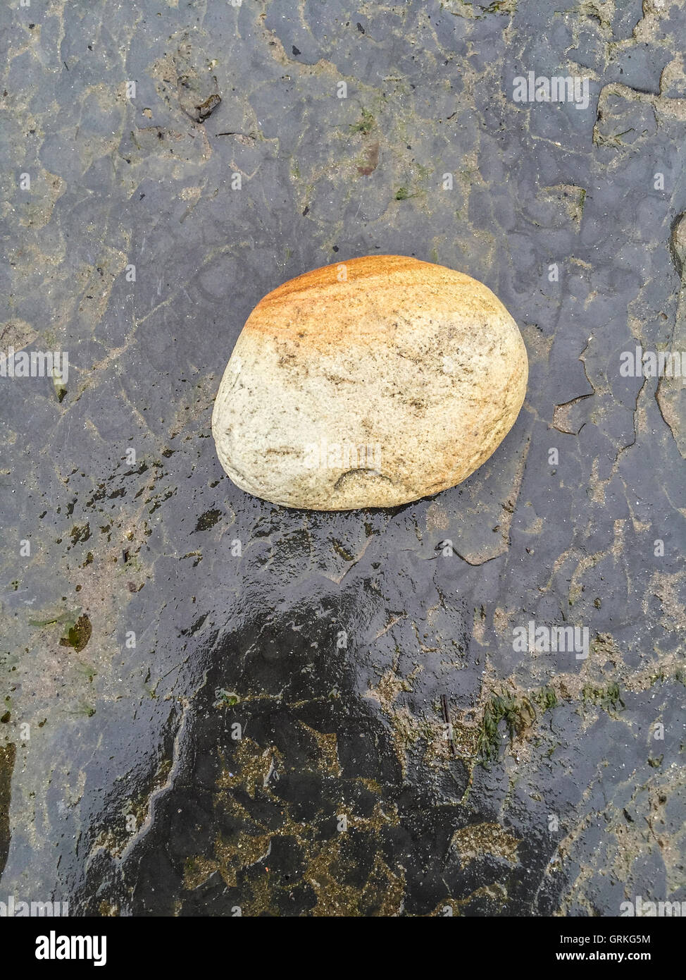 Attractive, colourful rock on Whitby beach Stock Photo - Alamy