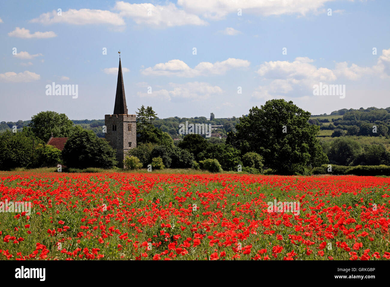 Barming Church & Poppy field, Barming, Maidstone, Kent, UK Stock Photo ...