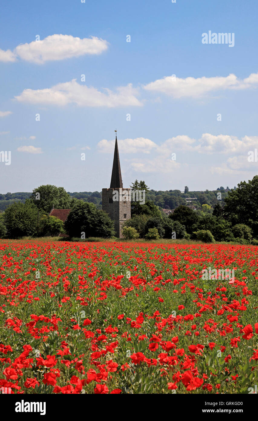 Barming Church & Poppy field, Barming, Maidstone, Kent, UK Stock Photo ...
