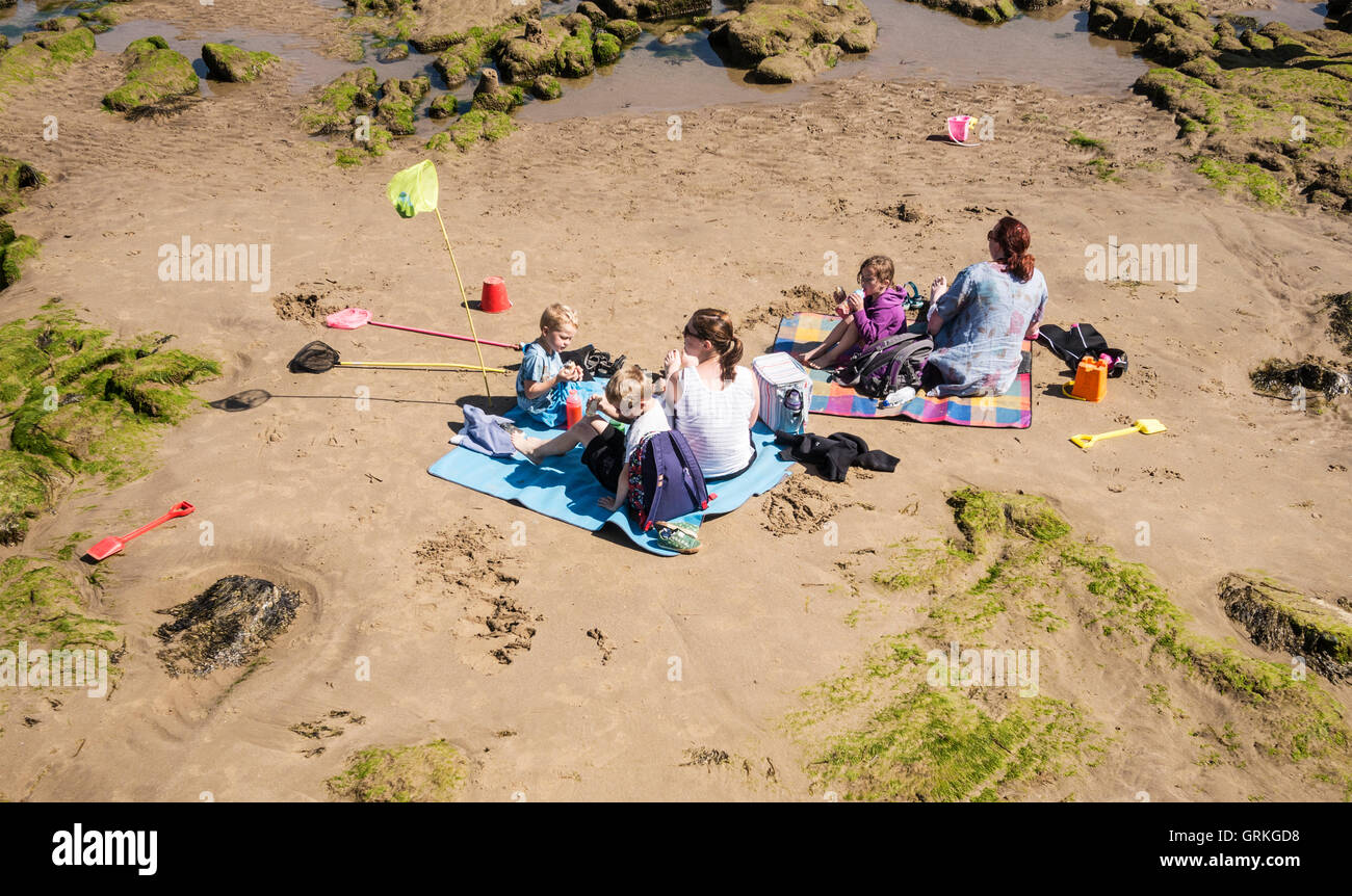 Rock Pooling Children High Resolution Stock Photography and Images - Alamy
