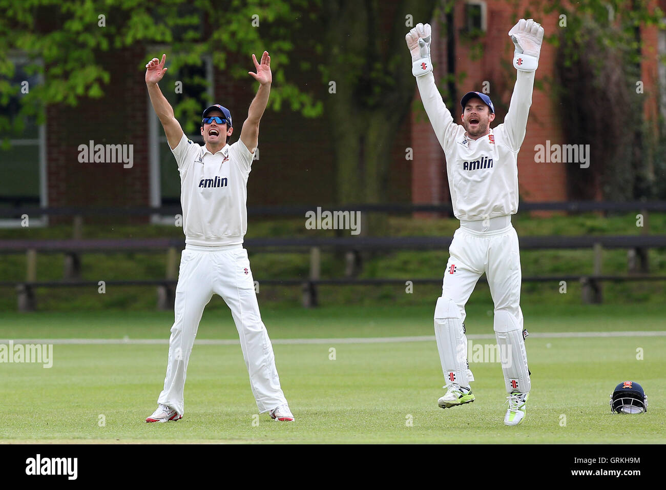 Chad foster hi-res stock photography and images - Alamy