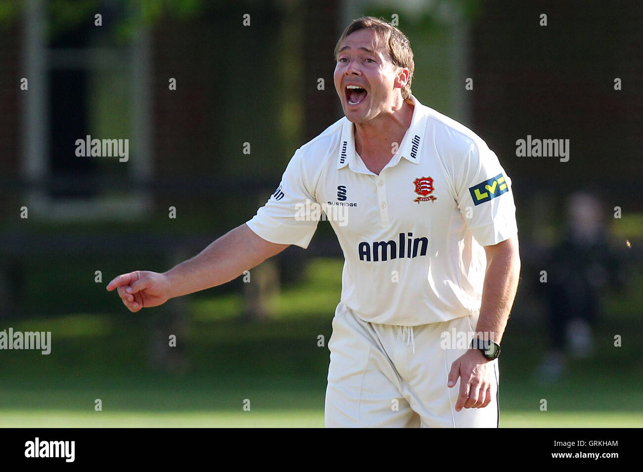 Graham Napier of Essex celebrates the wicket of Harry Ellison ...