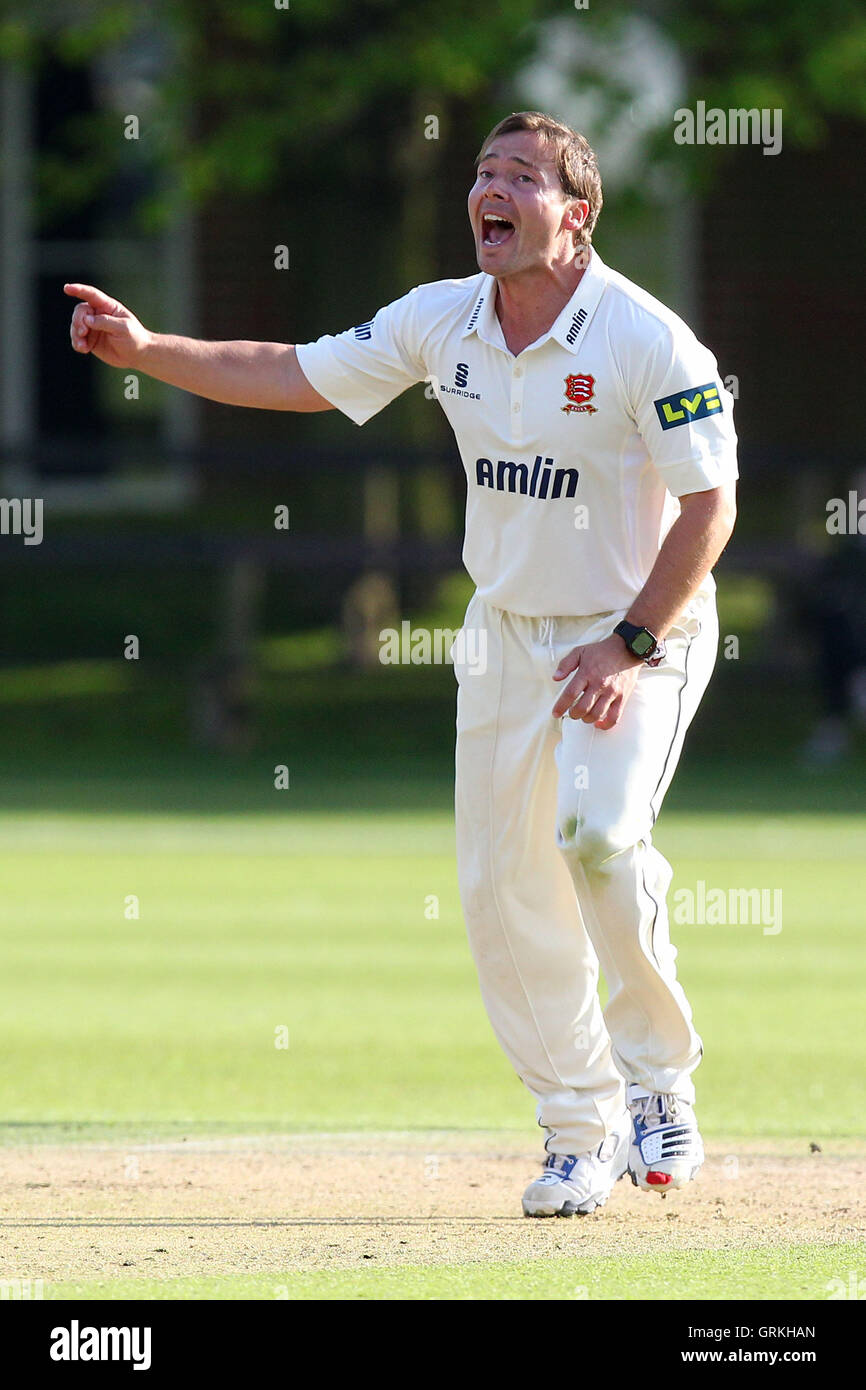 Graham Napier of Essex celebrates the wicket of Harry Ellison ...