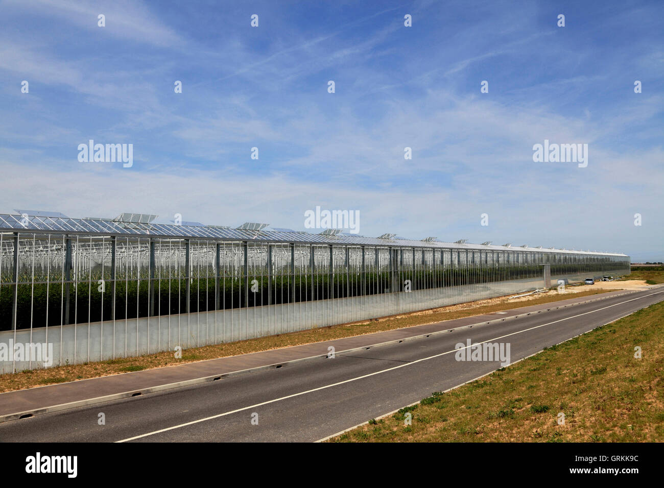 Thanet Earth, Thanet, Kent, UK Stock Photo - Alamy