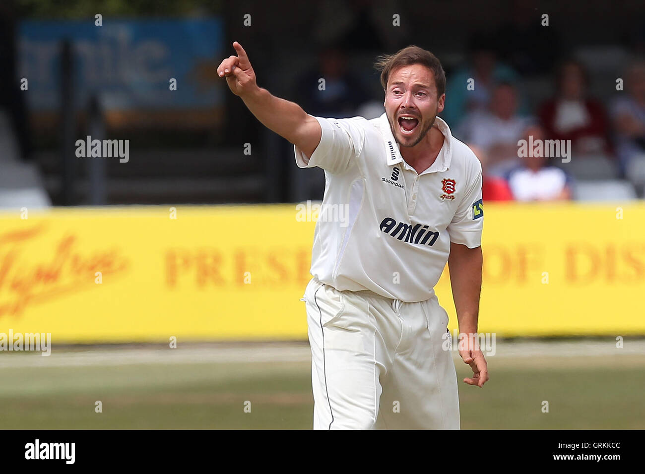Graham Napier of Essex with a big appeal for the wicket of Hamish ...