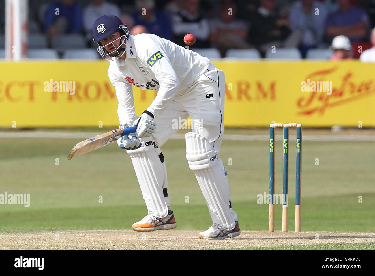 Alex gidman of gloucestershire county cricket club hi-res stock ...