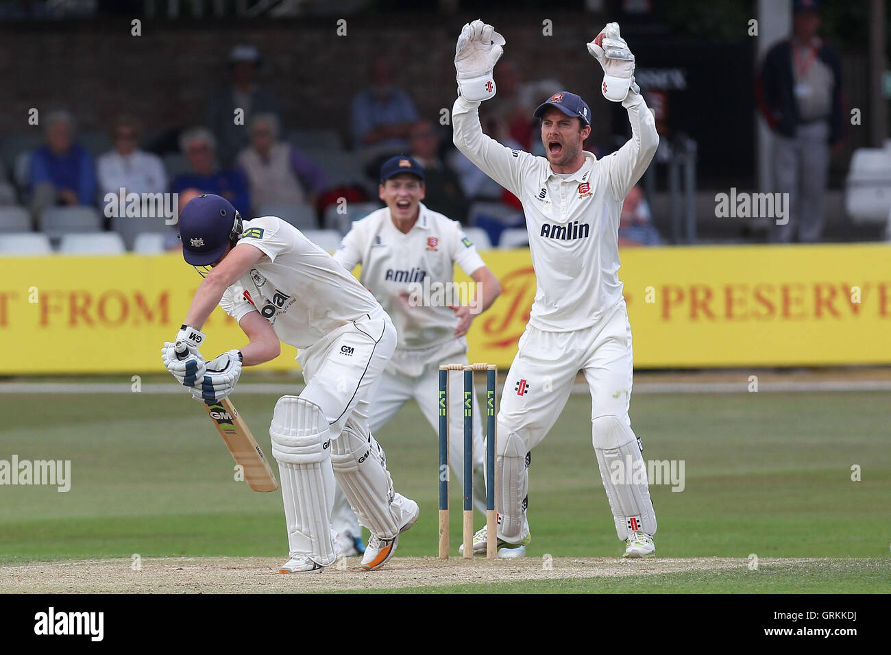 James Foster of Essex with a big appeal for the wicket of Ian Cockbain ...