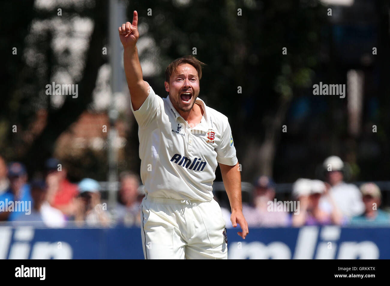 Graham Napier of Essex claims the wicket of Michael Carberry - Essex ...