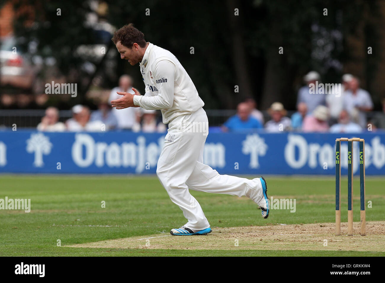 Delight for Tim Phillips of Essex as he claims the wicket of Sean ...