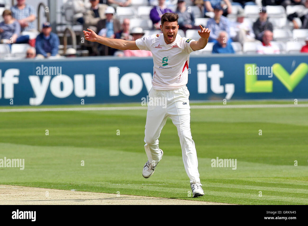 Nathan Buck of Leicestershire with a strong appeal for the wicket of ...