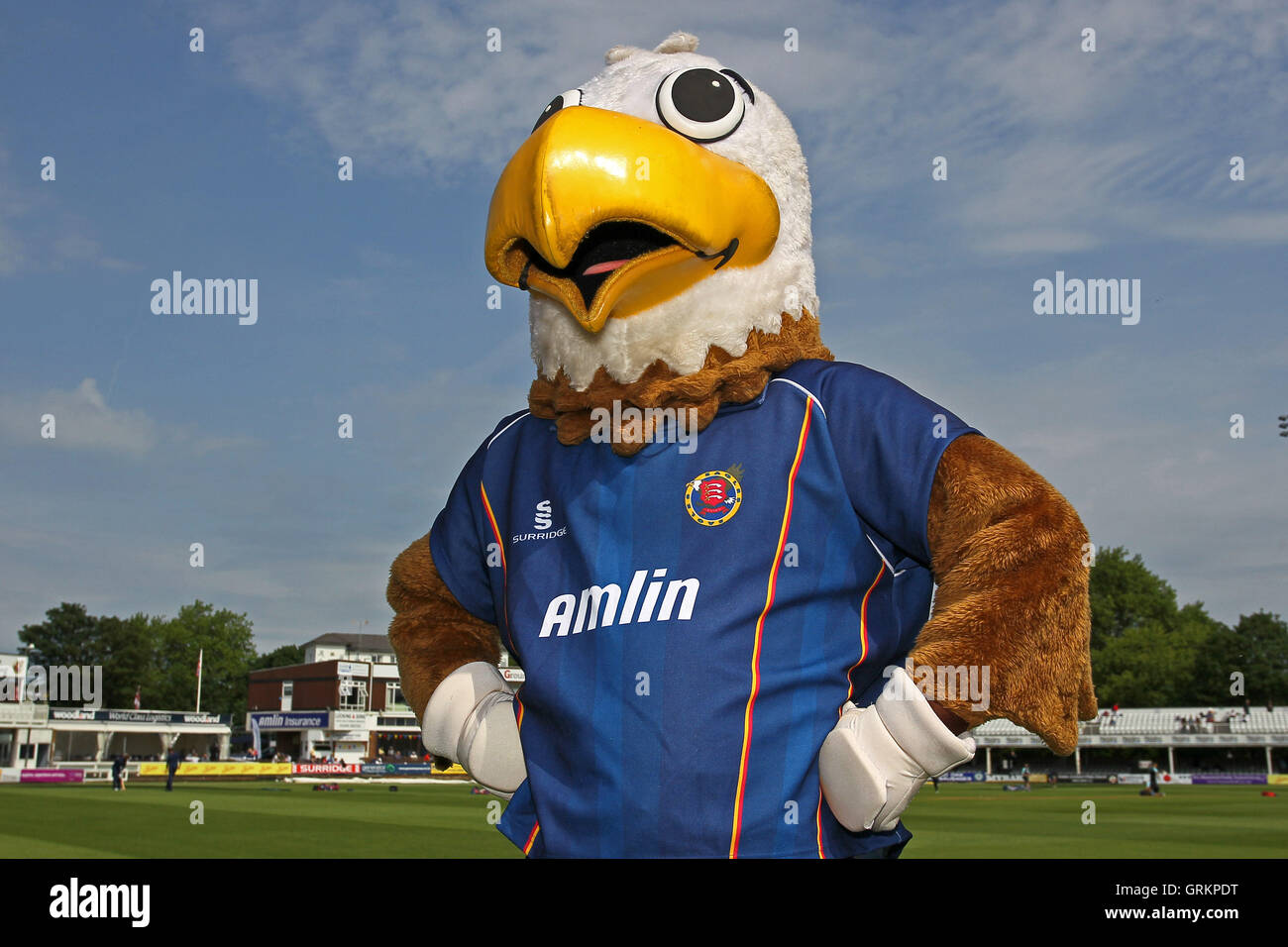 Essex Ccc Mascot Eddie The Eagle Essex Ccc Vs Surrey Ccc Lv County Championship Division Two