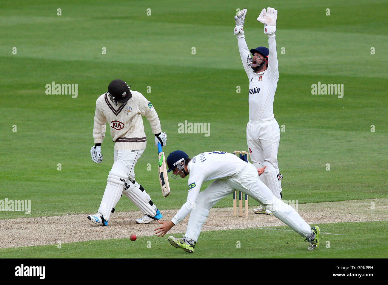 A strong appeal by James Foster of Essex for the wicket of Jason Roy ...