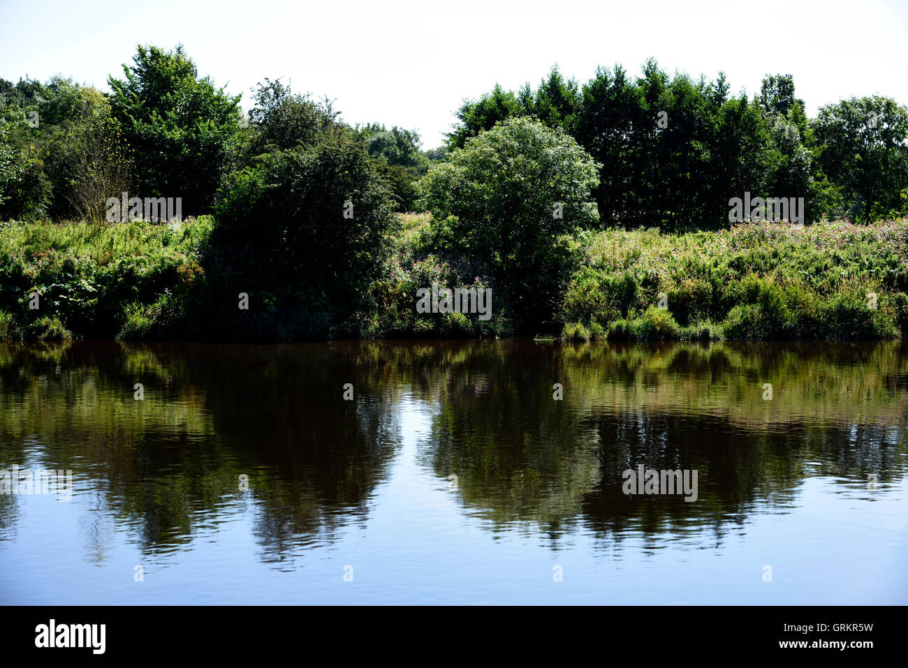reflections of trees in river Stock Photo - Alamy