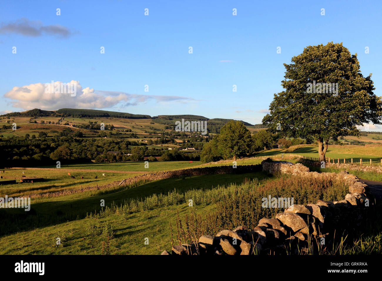 Teesdale near Cotherstone, Durham, UK Stock Photo - Alamy