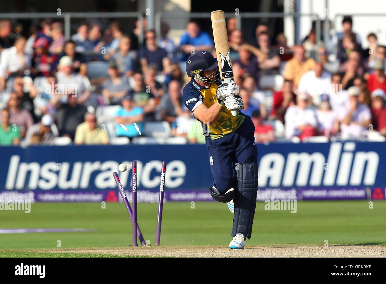 Jonathan Webb of Birmingham is bowled out by Ravi Bopara - Essex Eagles ...