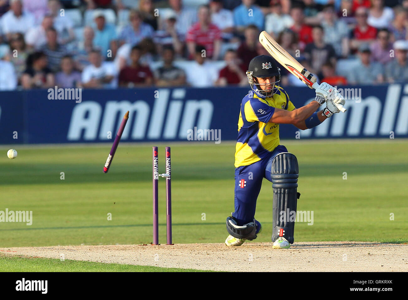 Housego High Resolution Stock Photography and Images - Alamy