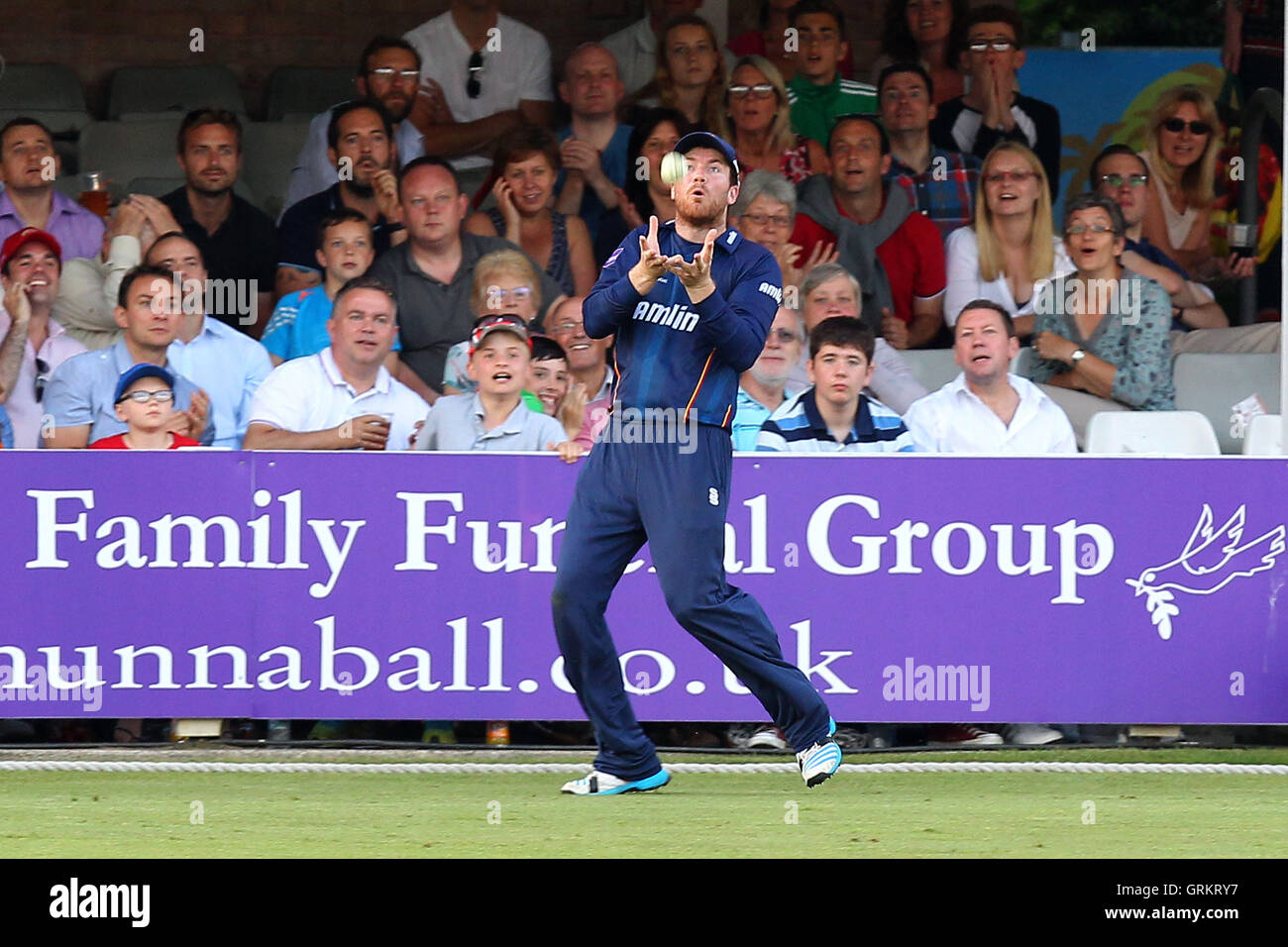 Tim Phillips takes a catch on the boundary to dismiss Hamish Marshall ...