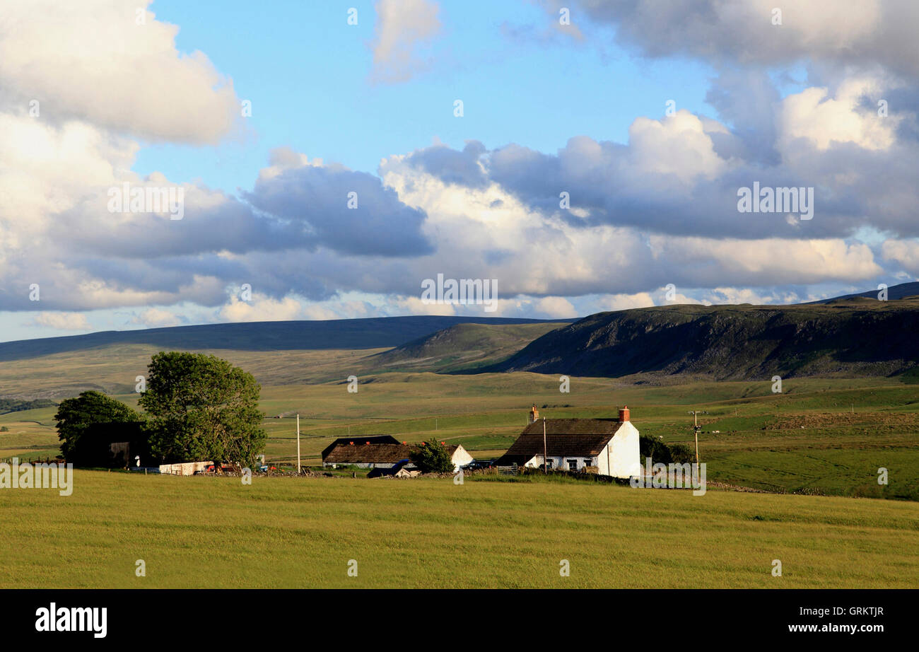 Upper Teesdale, Durham, UK Stock Photo - Alamy