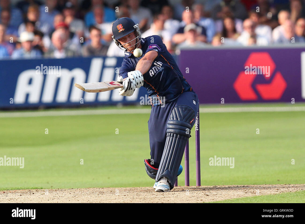 Tom Westley hits out for Essex - Essex Eagles vs Sussex Sharks ...