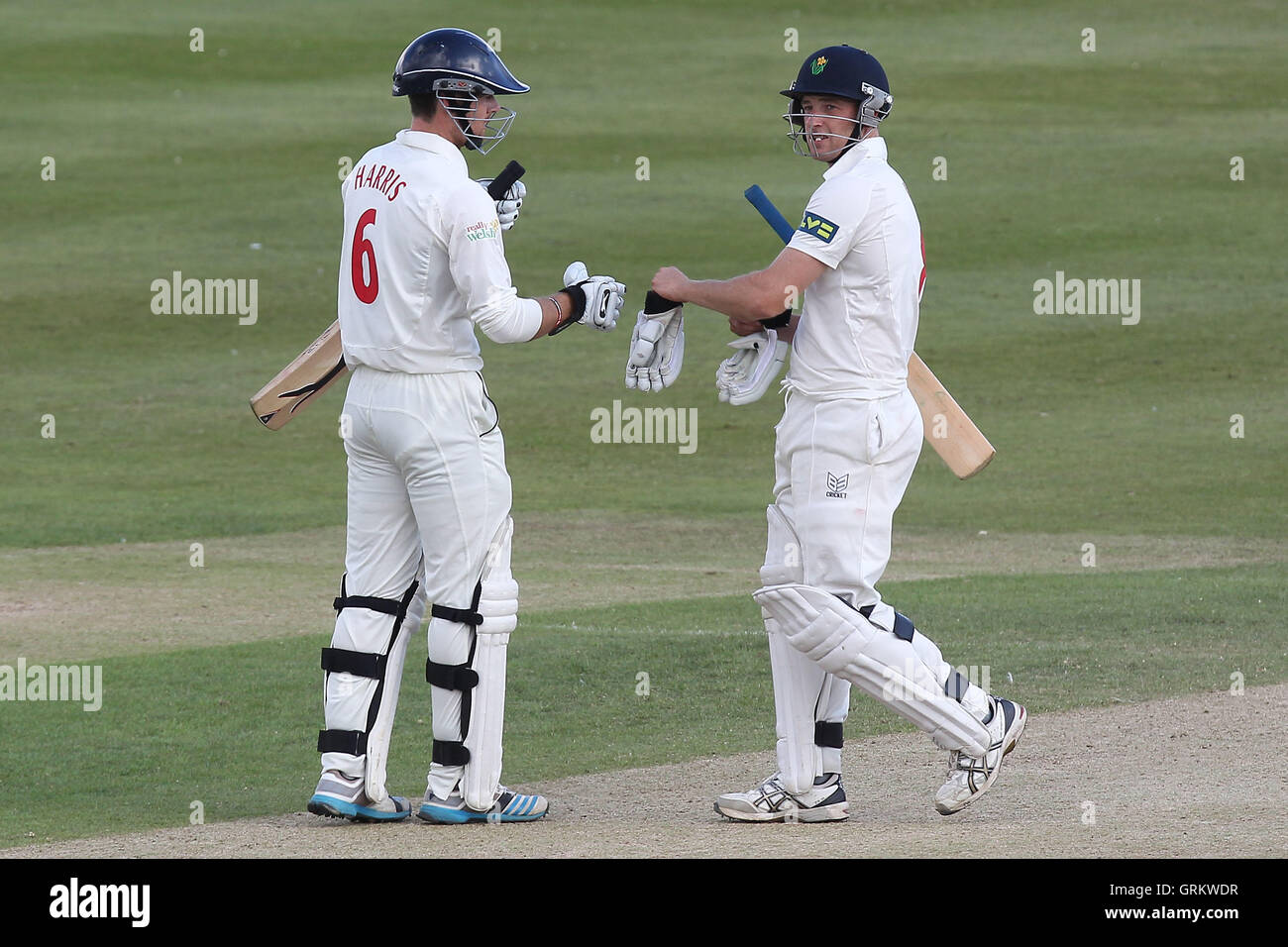 Graham Wagg (R) and James Harris enjoy a useful partnership for the 8th ...